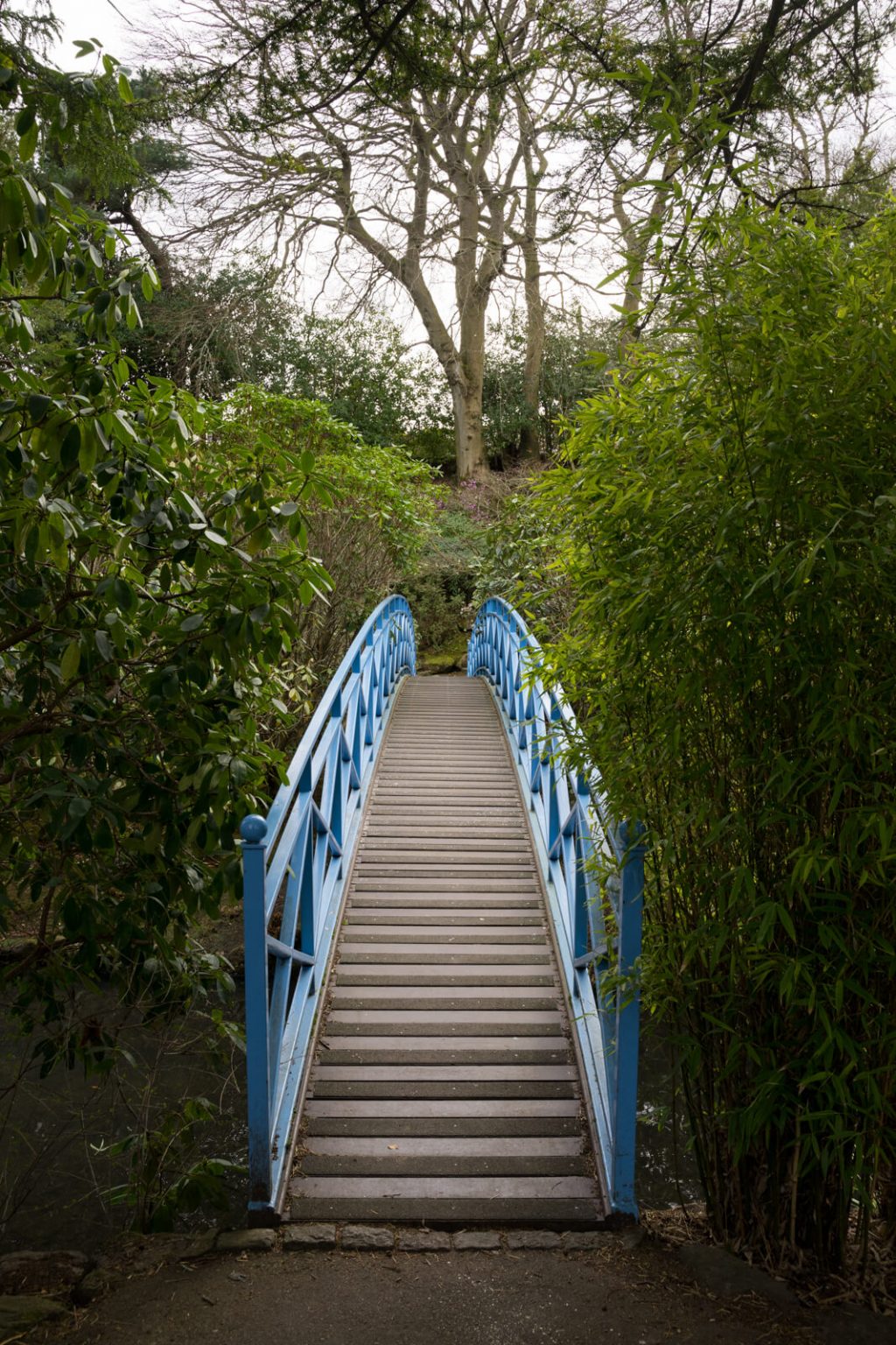 56 Things to do in Aberdeen, Scotland | A Guide for 2021